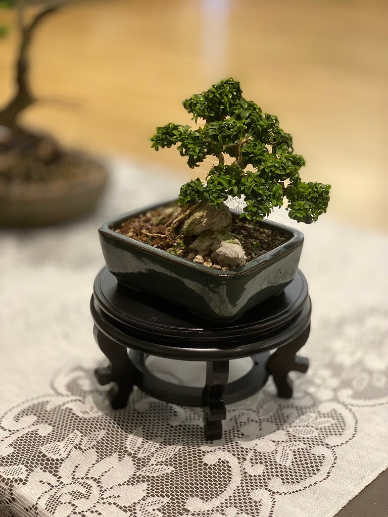 Photographing Your Garden, John Bonner, Bonner Photography ...