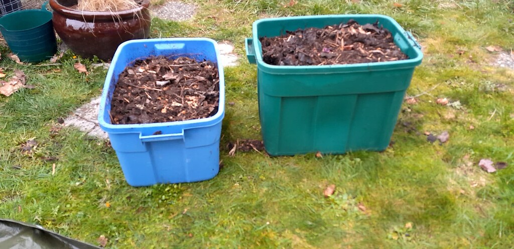 2 batches of compost - Buy / Sell / Trade - Comox Valley Horticultural ...